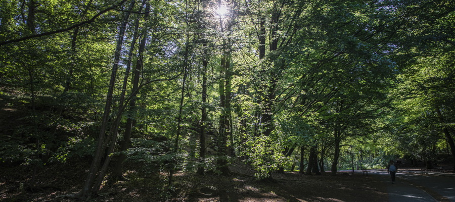 Aktuelltarkiv - Slottsskogen - Göteborgs Stad
